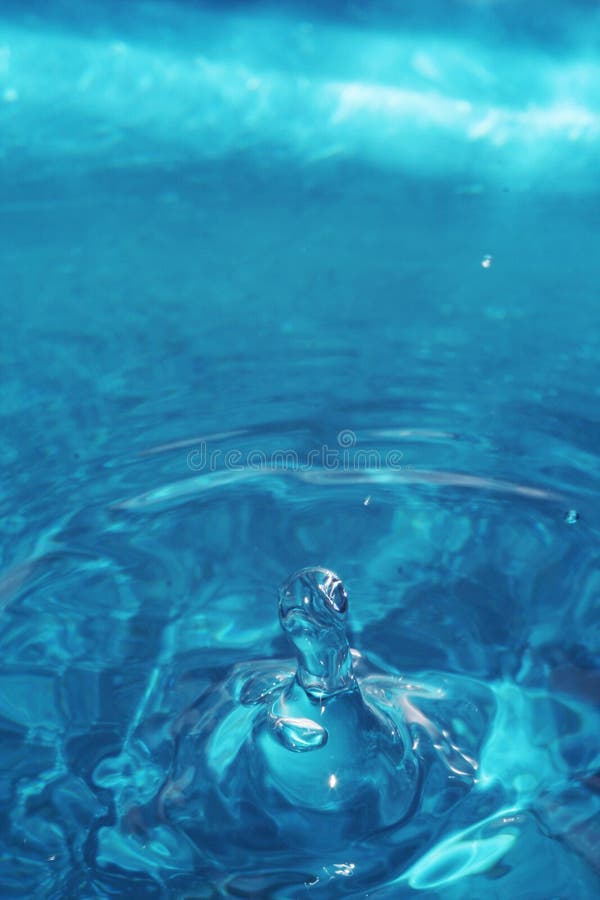 Turtle Drip Picture. Image: 381154