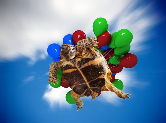 Turtle flying on balloons stock photo. Image of flying - 36697692