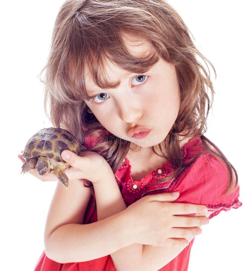 Holding Gecko stock photo. Image of reptile, vertebrate - 6057578