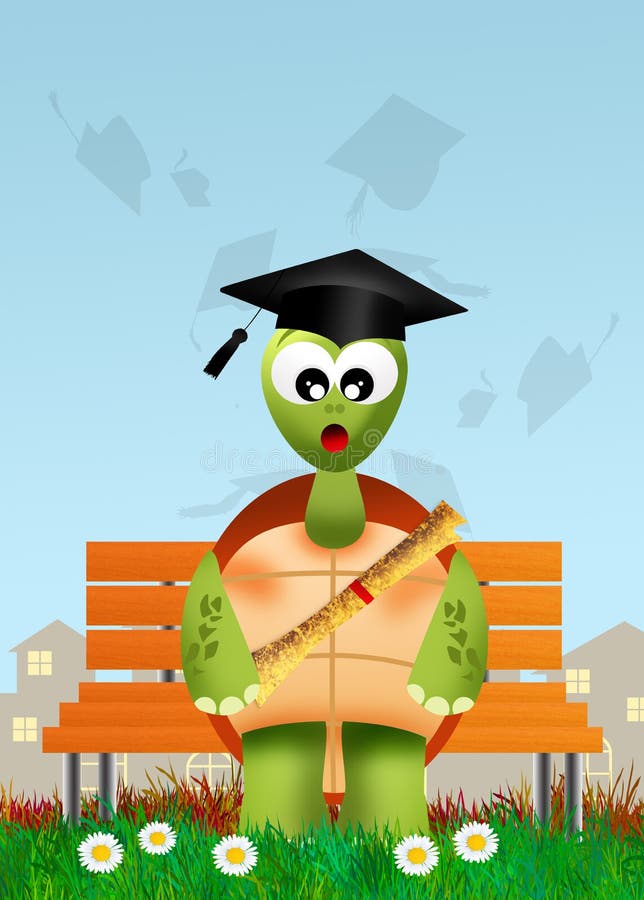 Turtle graduate stock illustration. Illustration of graduation - 38918077