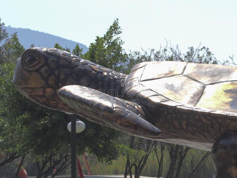 Turtle Head Dalyan Turkey editorial stock photo. Image of close - 129676273
