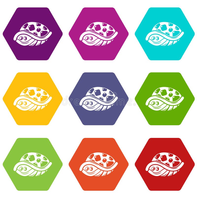 Turtle house stock illustration. Illustration of turtle - 73164244