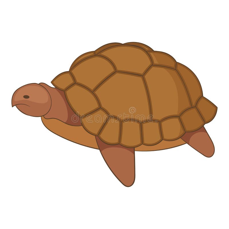 Turtle Land Stock Illustrations – 829 Turtle Land Stock Illustrations ...