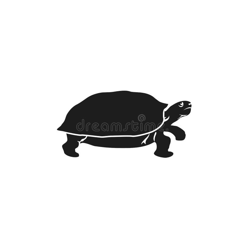 Turtle Icon Symbol. Premium Quality Isolated Tortoise Element in Trendy ...
