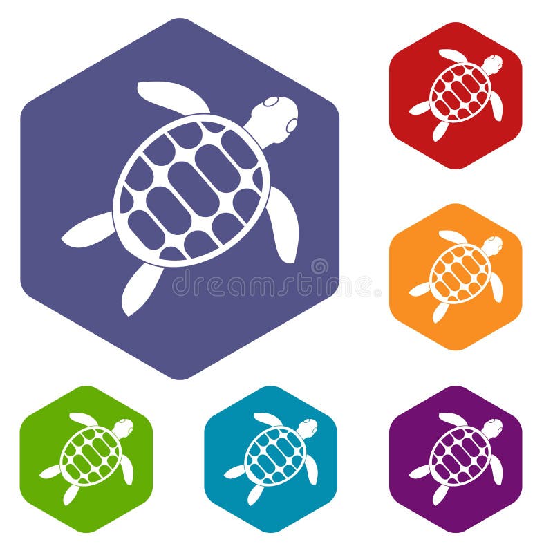 Turtle icons set hexagon stock vector. Illustration of flipper - 91346233