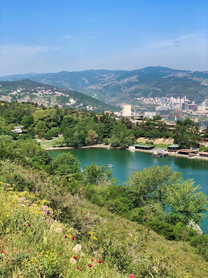 Turtle in lake stock photo. Image of leave, shell, waves - 78464058