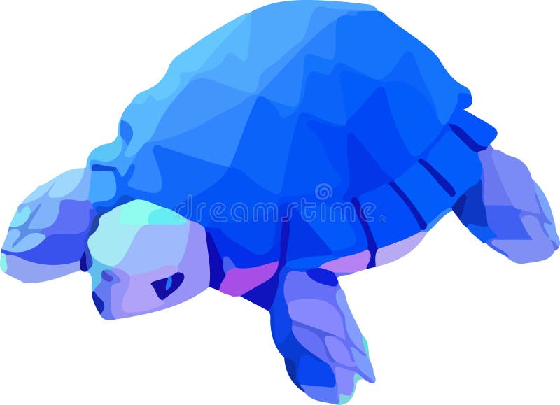 Turtle, Low Poly ,on White Background Stock Vector - Illustration of ...