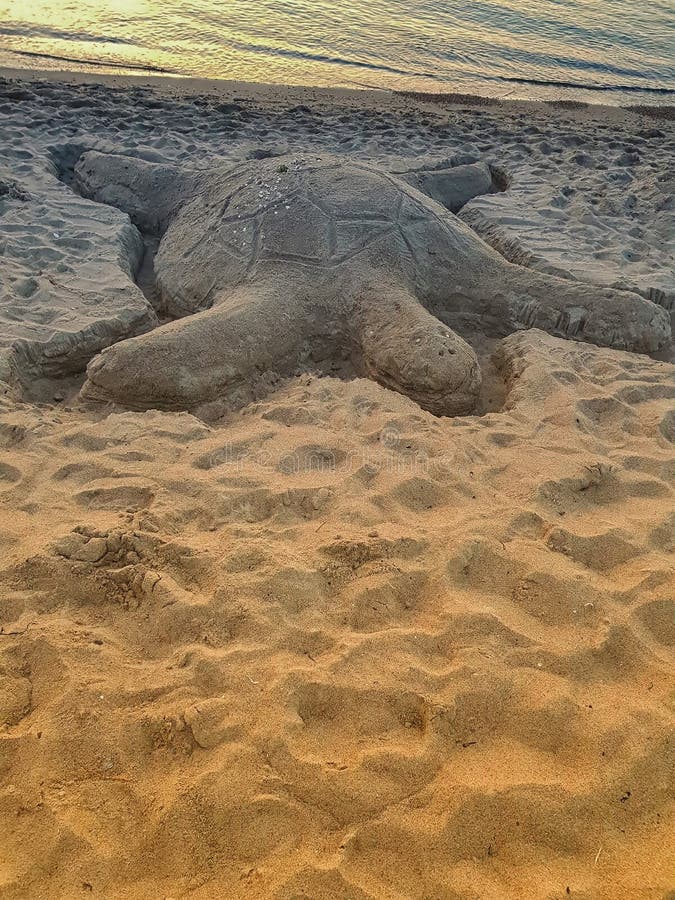 Turtle Sandcastle on White Silica Sand Beach in Whitsundays Australia ...