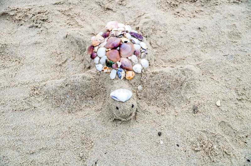 Turtle made of sand stock image. Image of travel, nature - 45130739