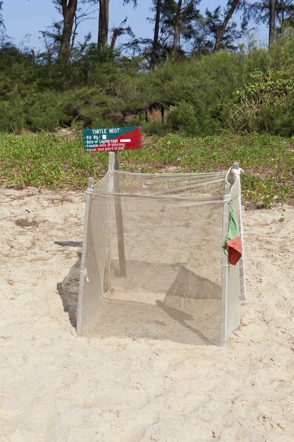 Galgibaga Beach stock image. Image of colony, environment - 30079835