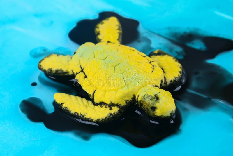 Turtle Oil Spill