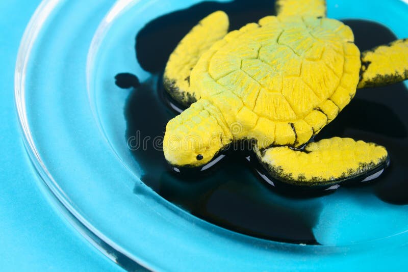 Turtle Oil Spill