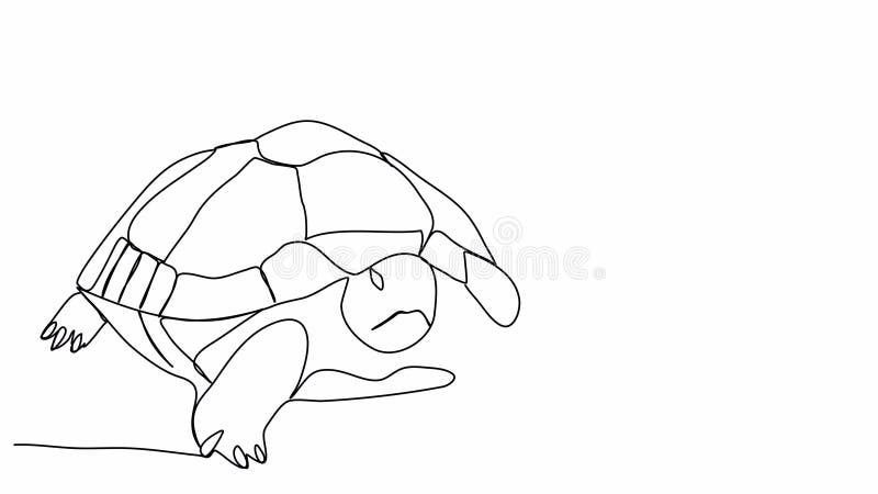 Turtle. One Line Drawing Animation. Video Clip with Alpha Channel ...
