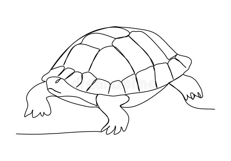 Turtle. One Line Drawing Vector Illustration Stock Illustration ...