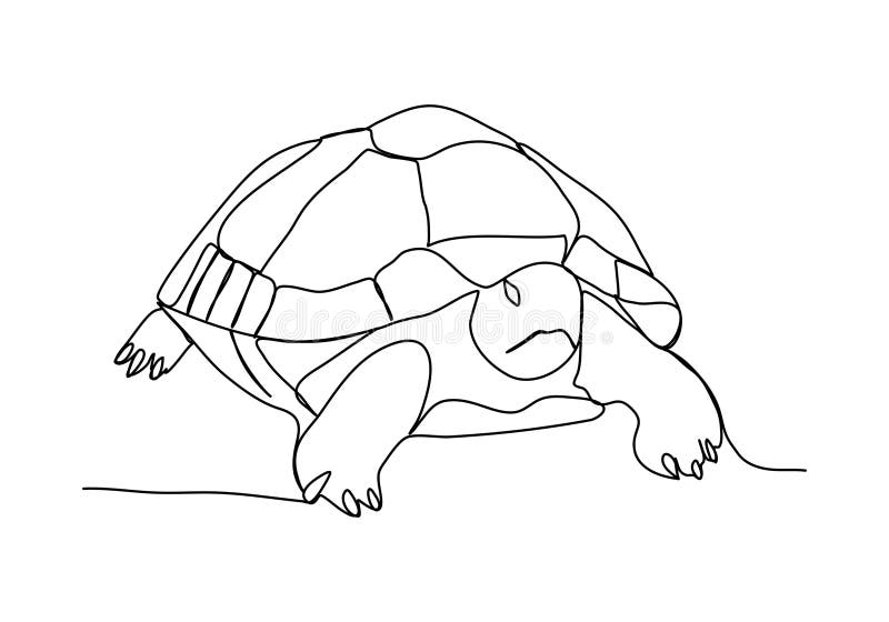 Turtle. One Line Drawing Vector Illustration Stock Vector ...