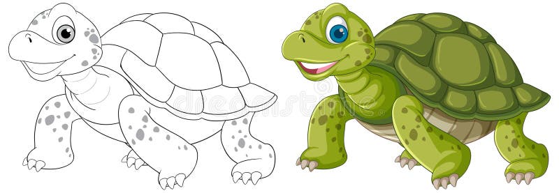 Turtle in Outline and Colored Stock Vector - Illustration of activity ...