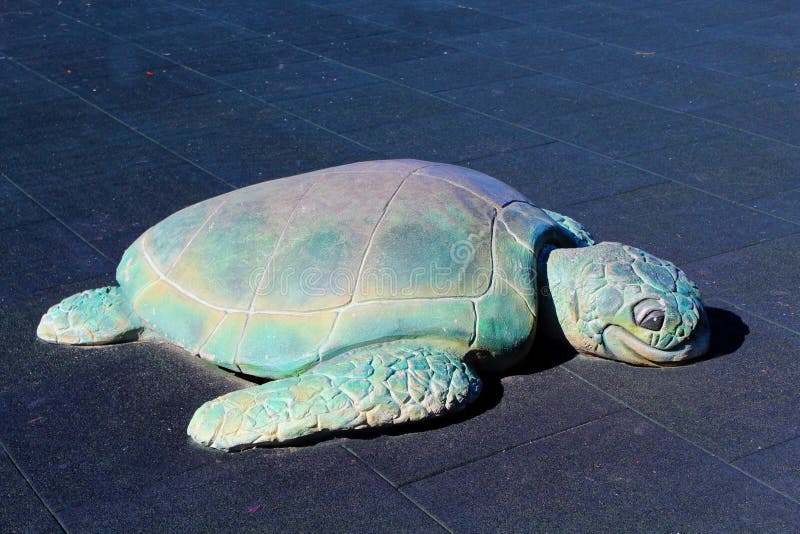 Turtle playground stock image. Image of green, playground - 50064787