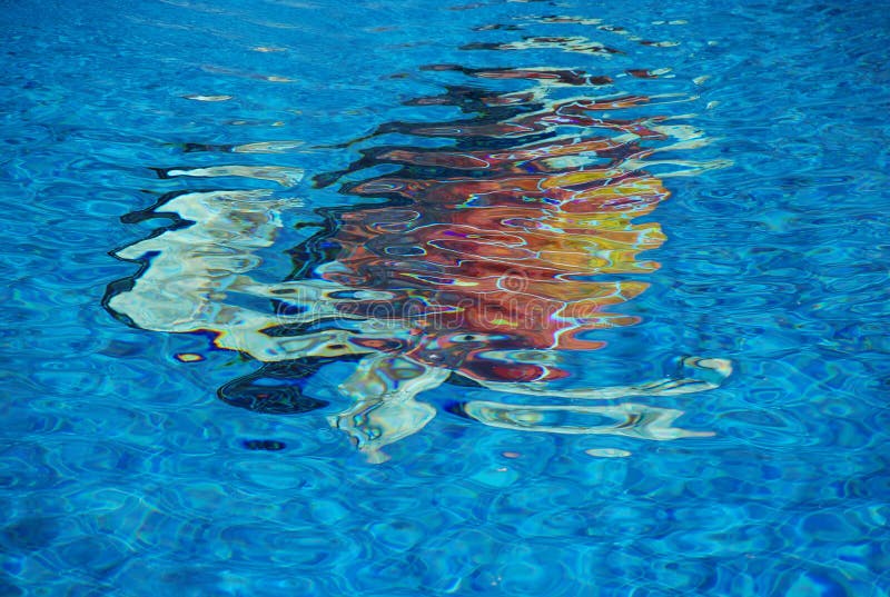 Turtle in pool stock photo. Image of water, blue, bottom - 11677262