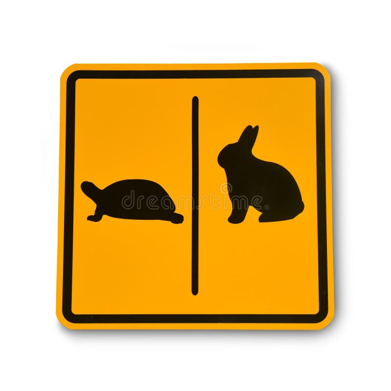 Bunny and Turtle stock photo. Image of background, concepts - 6178654