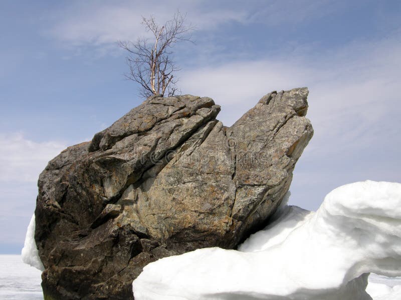 Turtle Rock. stock image. Image of animal, rock, nature - 74638235