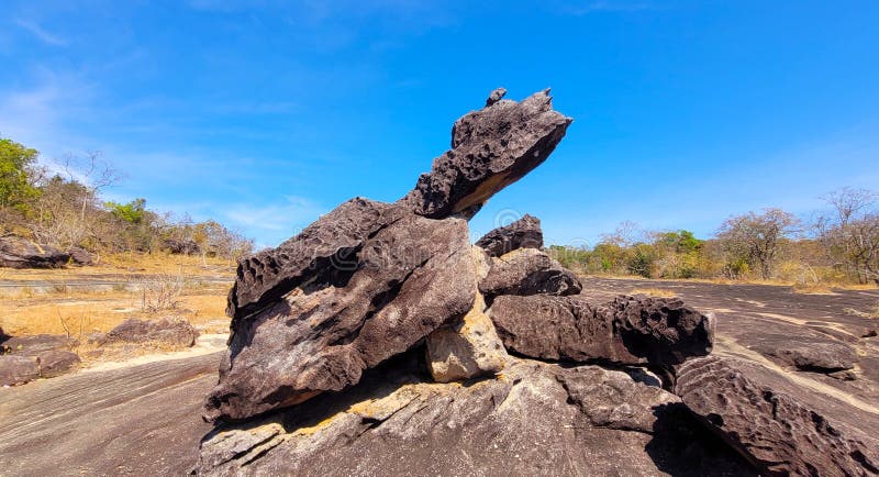 Turtle rock stock photo. Image of stone, pillar, nature - 346582346