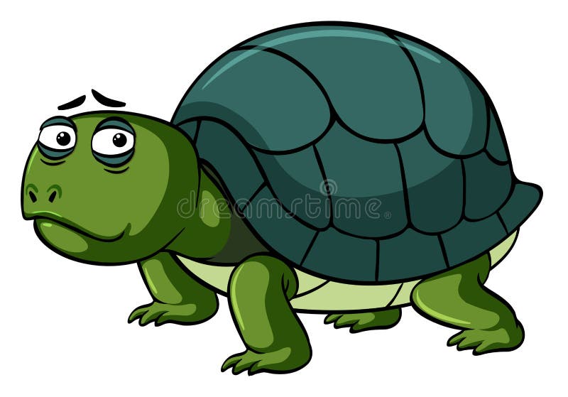 Sad Turtle stock vector. Illustration of vector, green - 10016653