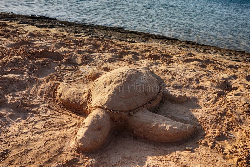 Turtle from the sand stock photo. Image of vacation - 146793964