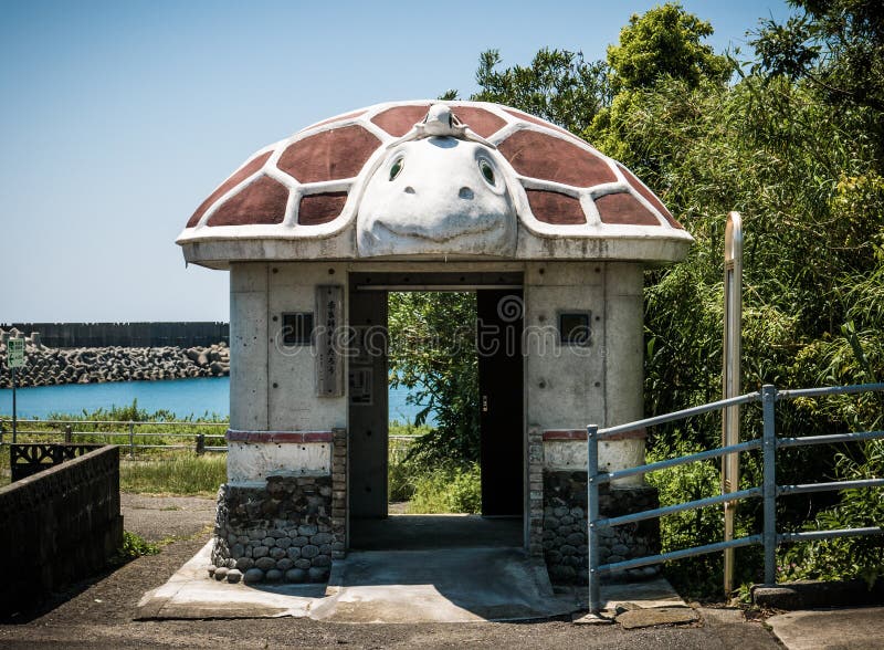 Random Turtle Stock Photos - Free & Royalty-Free Stock Photos from ...