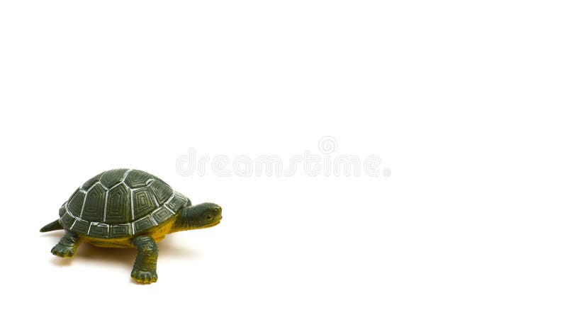 Turtle Shaped Rubber Toy Isolated on White Background Stock ...