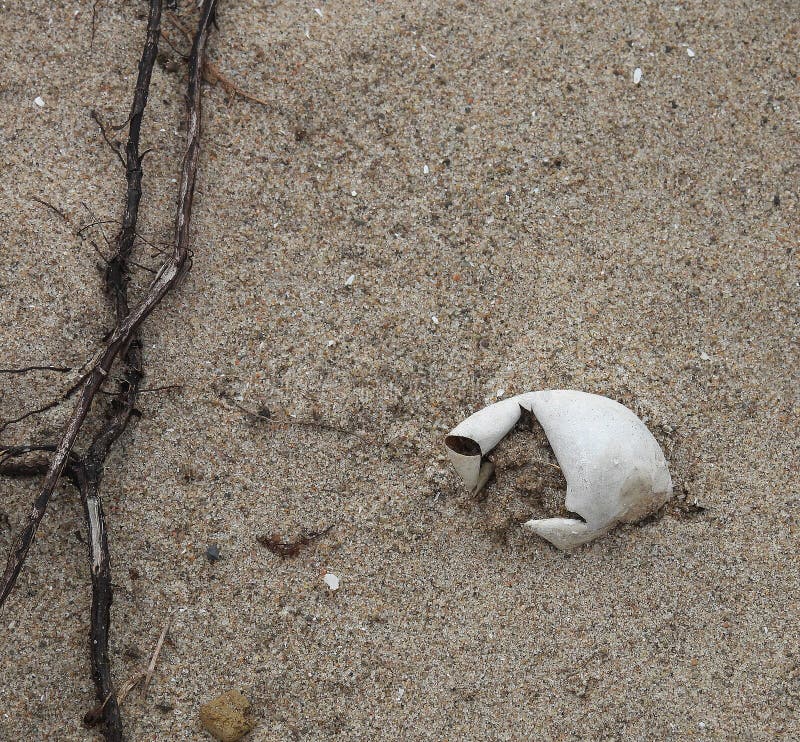 Map Nys State Parks Stock Photos - Free & Royalty-Free Stock Photos ...