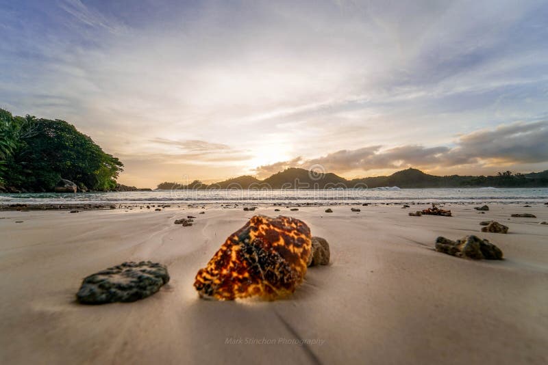 Turtle Shell Sunset in Seychelles Stock Image - Image of cloud ...