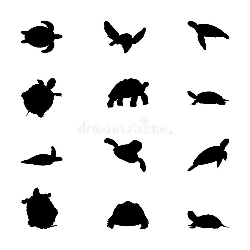 Land Turtle Silhouette Stock Illustrations – 170 Land Turtle Silhouette ...