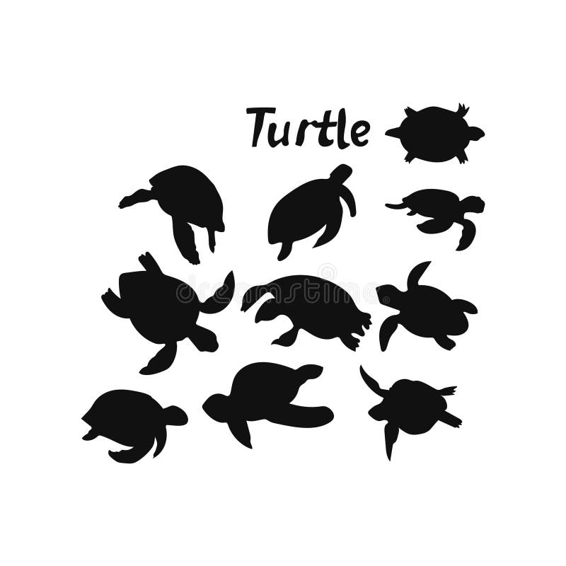 Turtle Silhouette Design Set Vectors Stock Vector - Illustration of ...