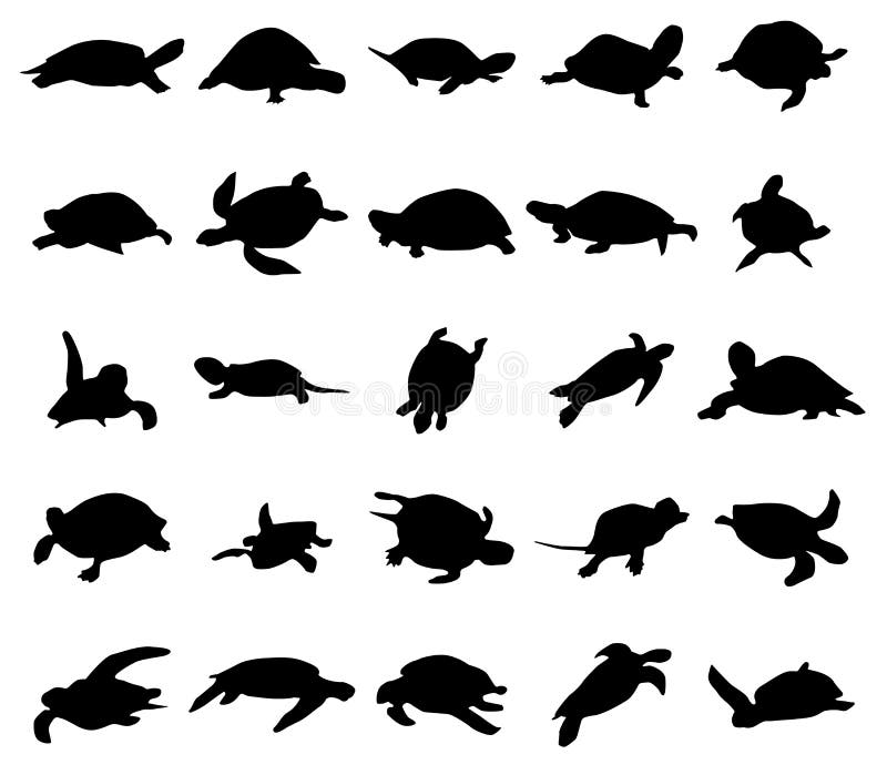 Turtle Silhouettes Set Stock Vector - Image: 62028078