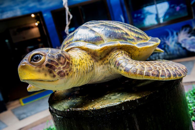 Turtle statue stock photo. Image of turtle, nature, natural - 55067476
