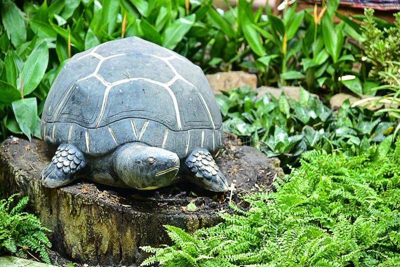 234 Stone Turtle Statue Garden Stock Photos - Free & Royalty-Free Stock ...