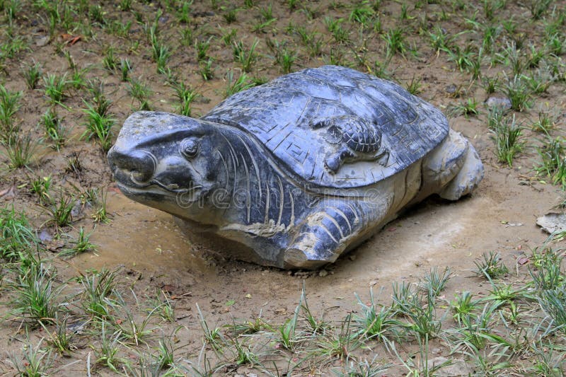 Turtle stone stock image. Image of claws, shell, eyes - 382672673