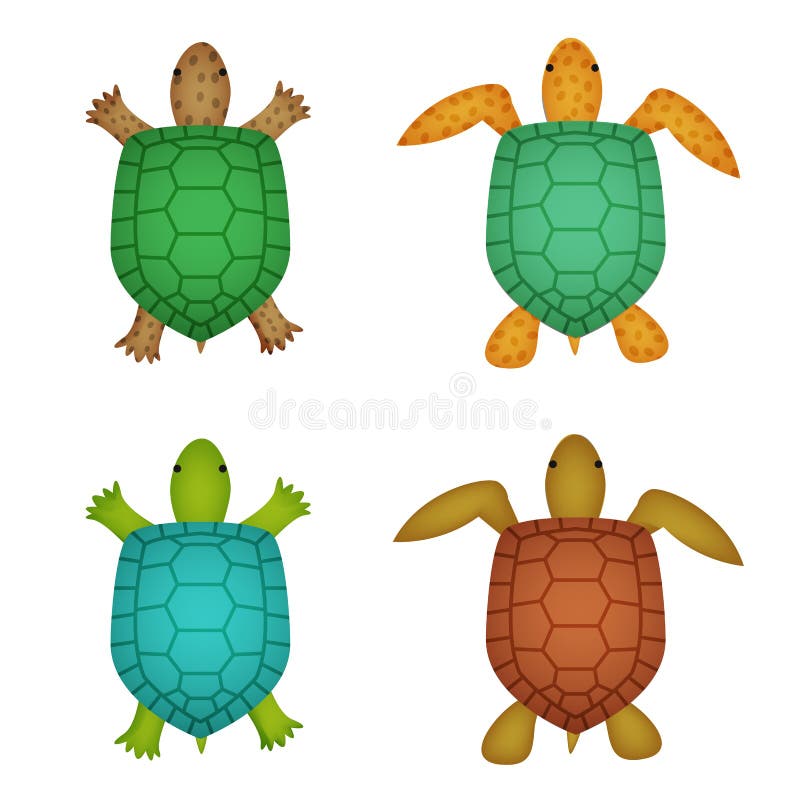 Turtle Top View, Carapace, Crawling, Sketch, Vector Stock Vector ...