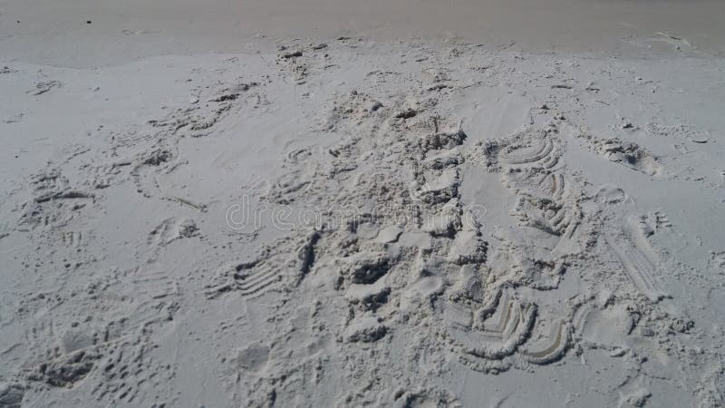 Turtle Tracks in the Sand stock image. Image of wildlife - 2056395