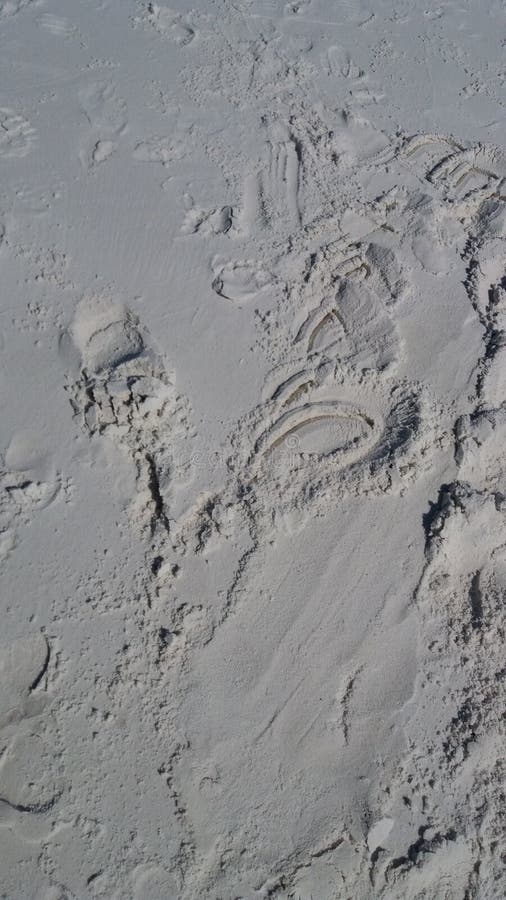 Turtle Tracks in the Sand stock image. Image of wildlife - 2056395