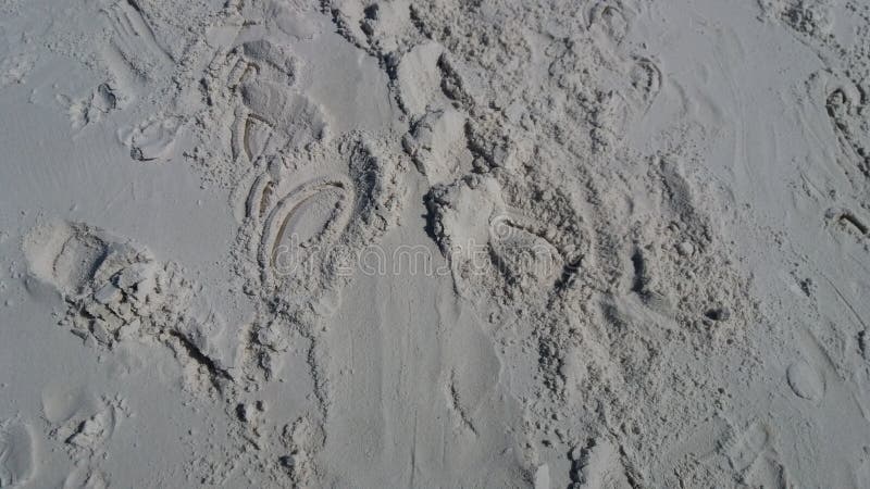 Turtle Tracks in the Sand stock image. Image of wildlife - 2056395