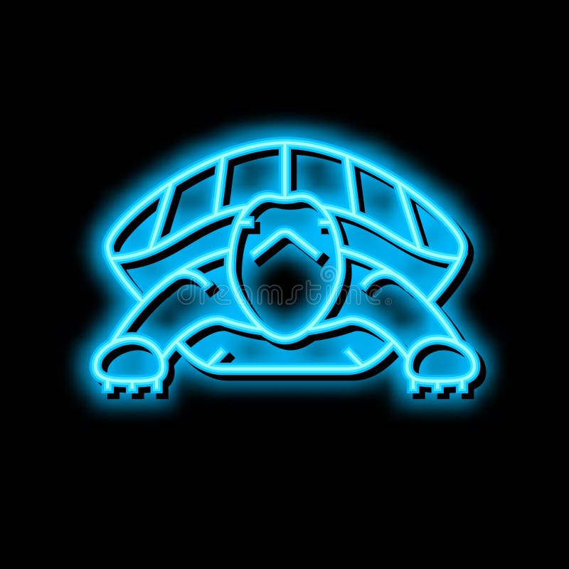 Neon Turtle Stock Illustrations – 331 Neon Turtle Stock Illustrations ...