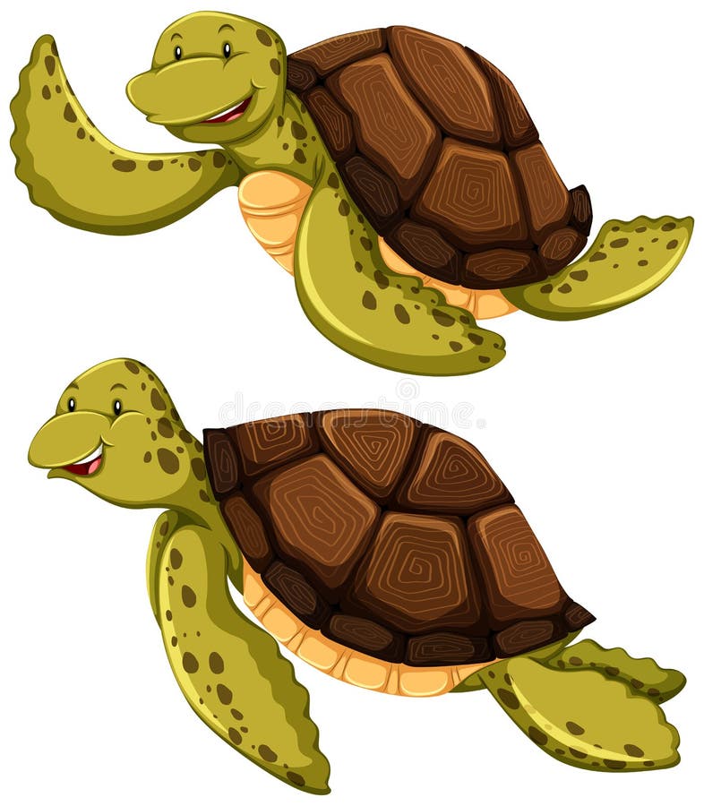 Two Turtles Stock Illustrations – 134 Two Turtles Stock Illustrations ...