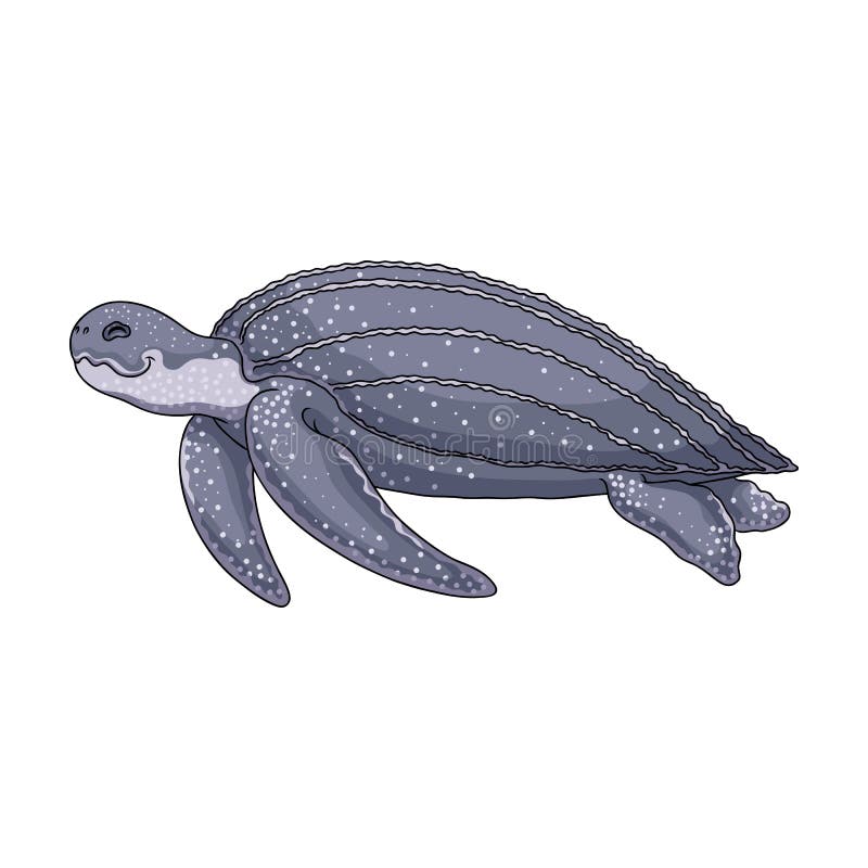 Leatherback Turtle Stock Illustrations – 219 Leatherback Turtle Stock ...