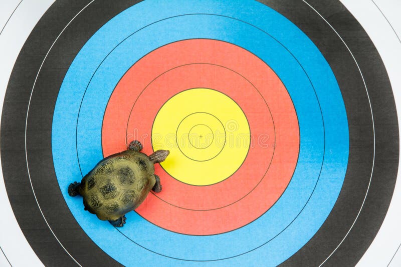 Turtle top view stock image. Image of tortoise, geochelone - 23372705