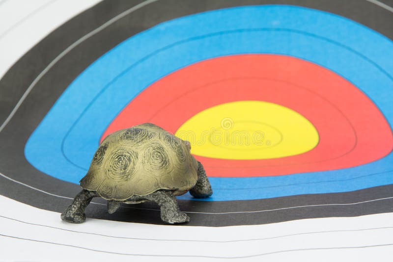 Turtle view from above stock image. Image of insist, tortoise - 36812485