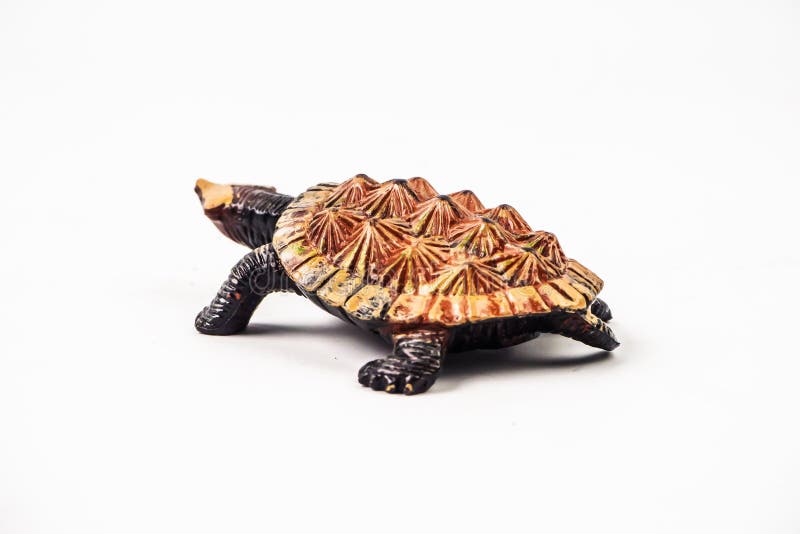 Turtle on white background stock photo. Image of shell - 152189604