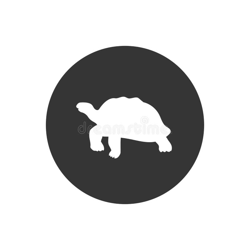 Turtle White Icon, Vector Illustration in Flat Stock Vector ...