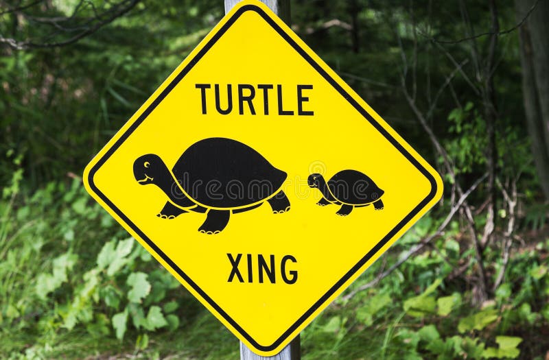 Stop sign stock image. Image of danger, instruction, sign - 24547793