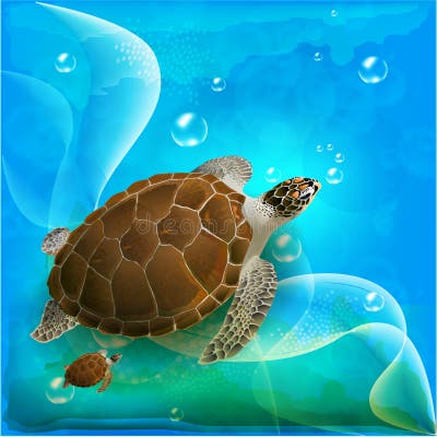 Turtles Family Stock Illustrations – 770 Turtles Family Stock ...